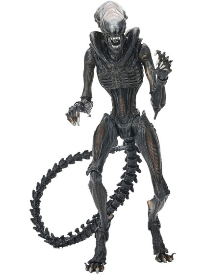 Alien: Romulus - Ultimate Scorched Xenomorph - Heromic.fi